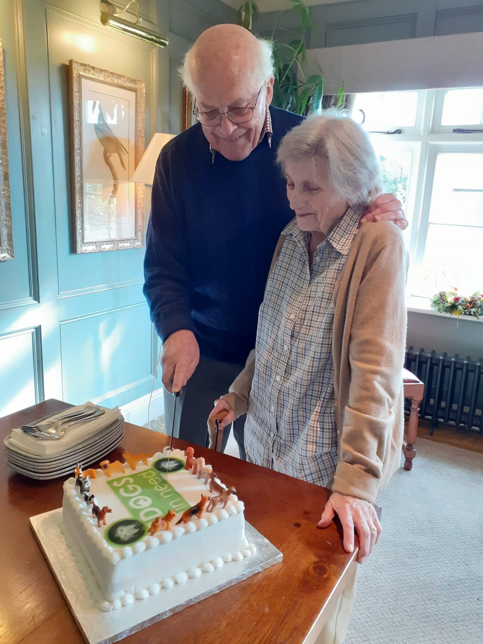 Dogs in Need – Registered Charity No. 1098870